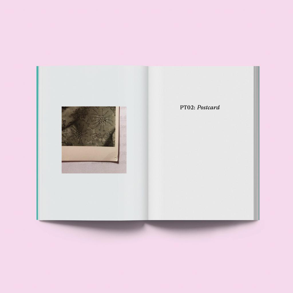 Paper Trail – Blown Rose